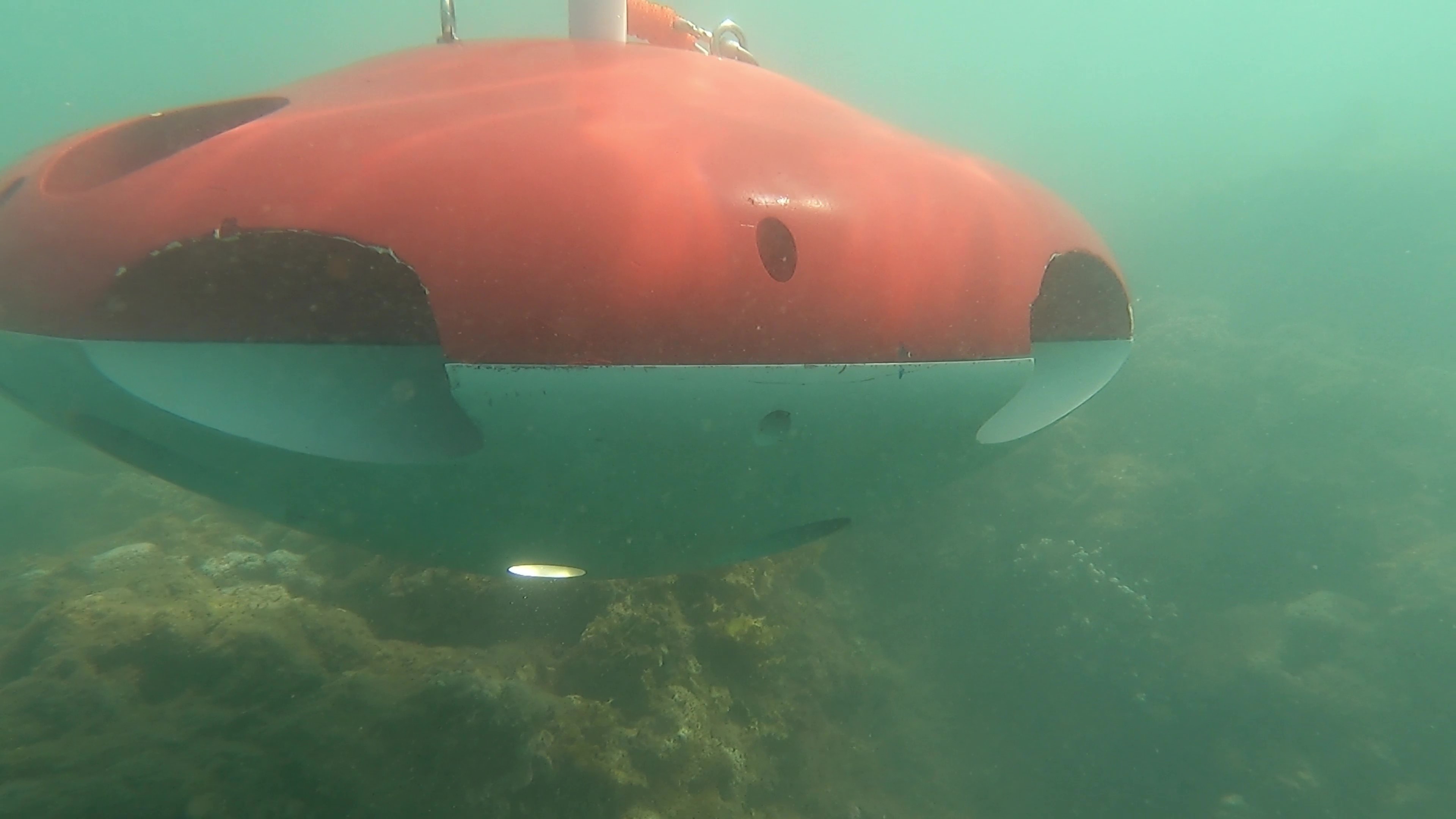 Cruise Participation – Jiang Yiyi